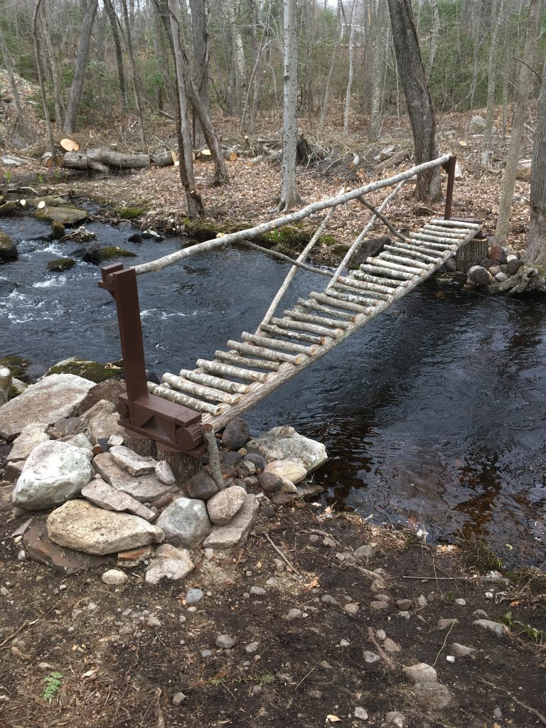 Damage at Fowler Grindstone Preserve ‹ North Stonington Citizens Land ...